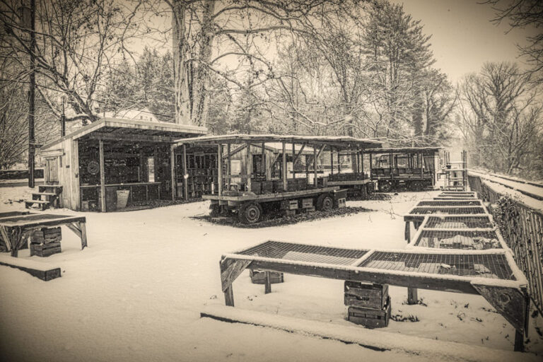Photo of the Week: Waiting for Spring - ChaddsFordLive.com